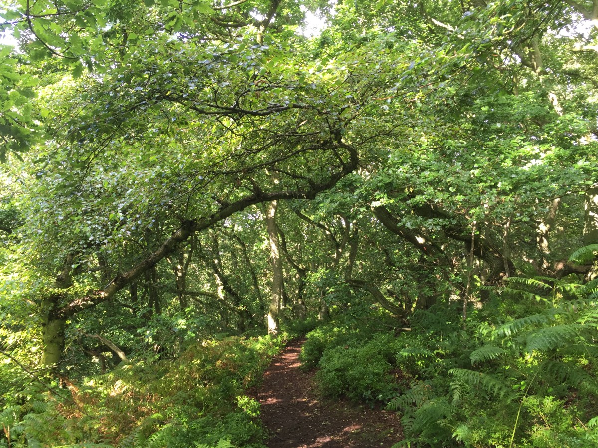 The Ercall | The only way is wildlife